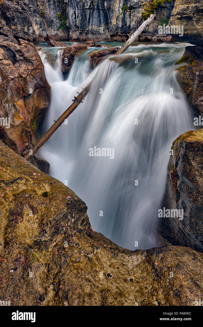 Panther Falls in Jasper National Park, Canada Stock Photo - Alamy