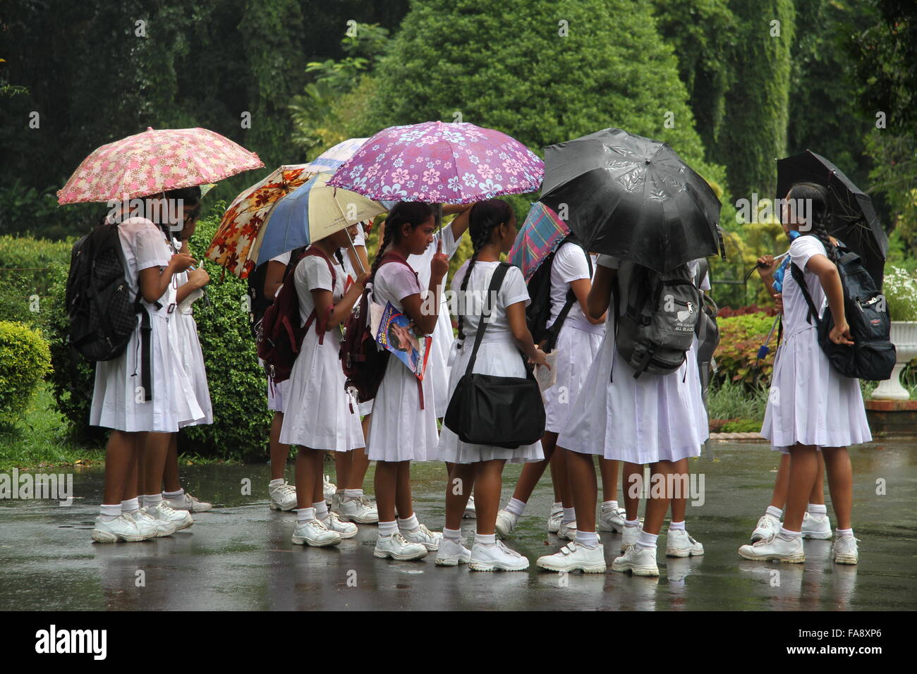 School girls kandy sri lanka hi-res stock photography and images - Alamy