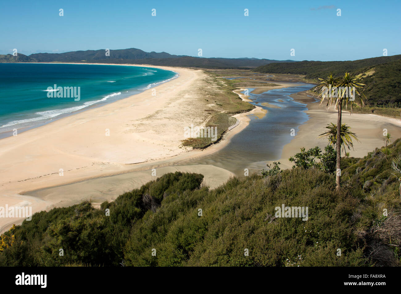 Waitahora lagoon is just behind the sand dunes at the beach of Spirits ...