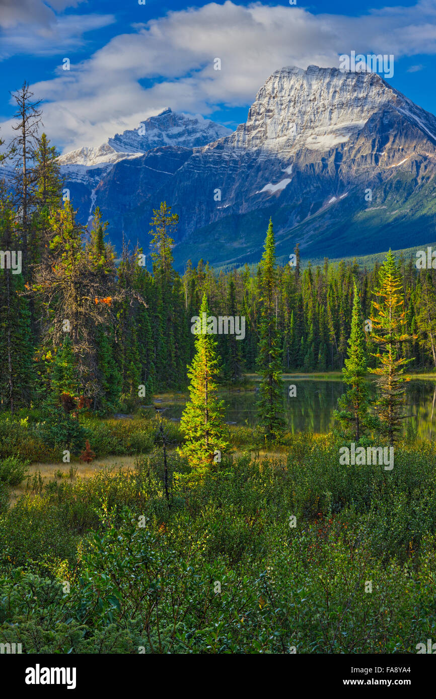 Mount Fryatt in Jasper National Park, Canada Stock Photo - Alamy