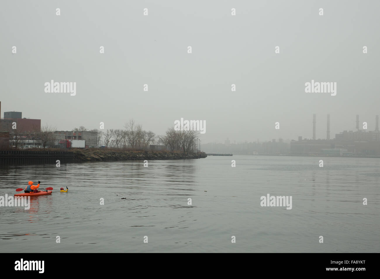 Brooklyn, United States. 23rd Dec, 2015. Clean Water Advocate ...