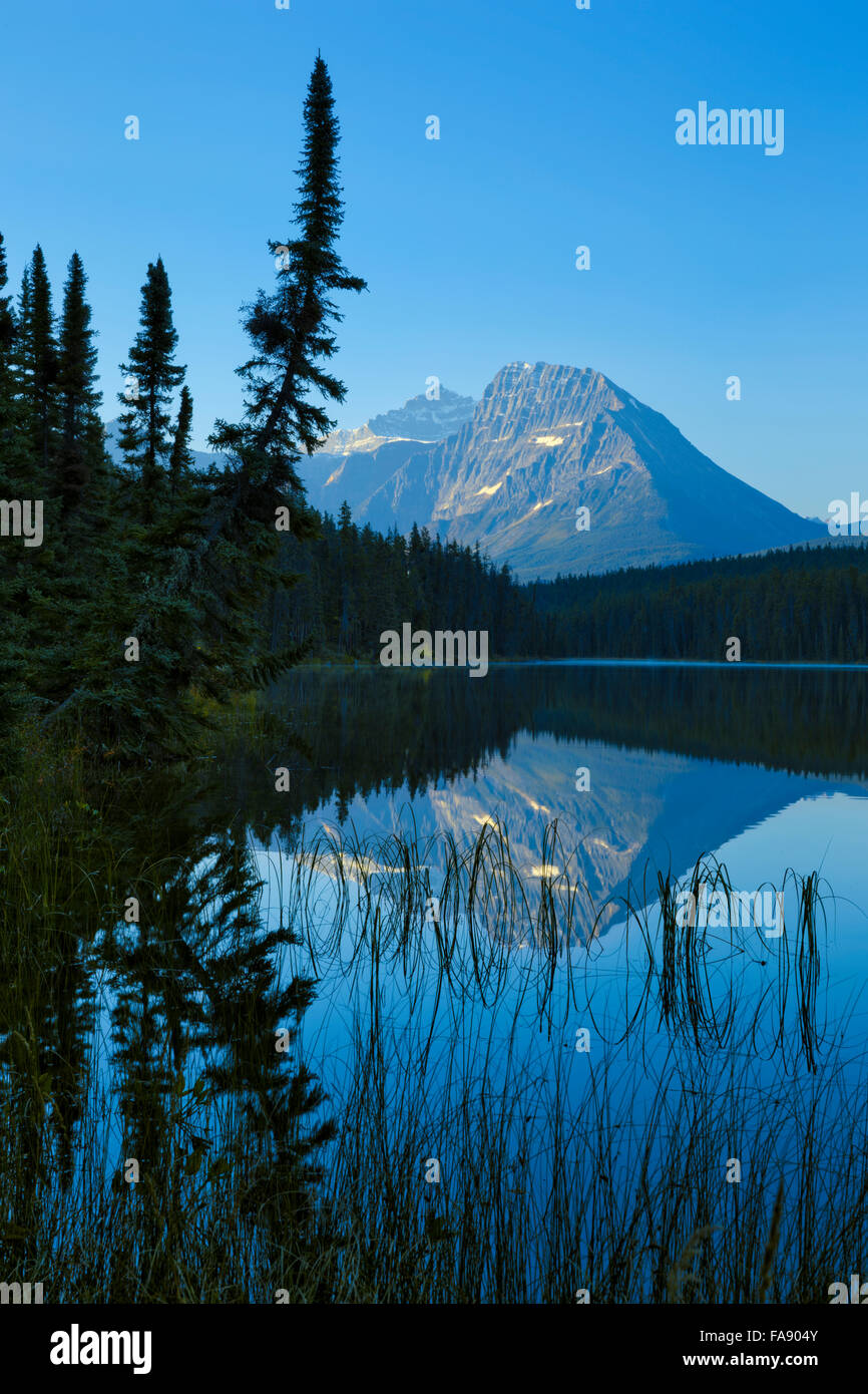 Mount christie jasper national park hi-res stock photography and images ...