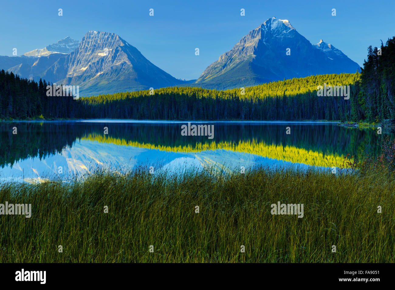 Leach Lake; Jasper National Park Stock Photo - Alamy