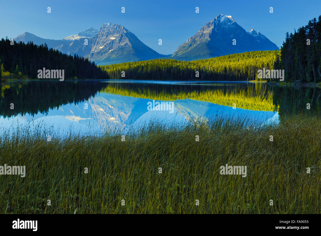 Mount christie jasper national park hi-res stock photography and images ...