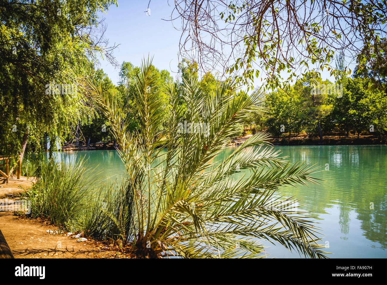 landscape with forests and natural lake in Valencia, Spain Stock Photo ...