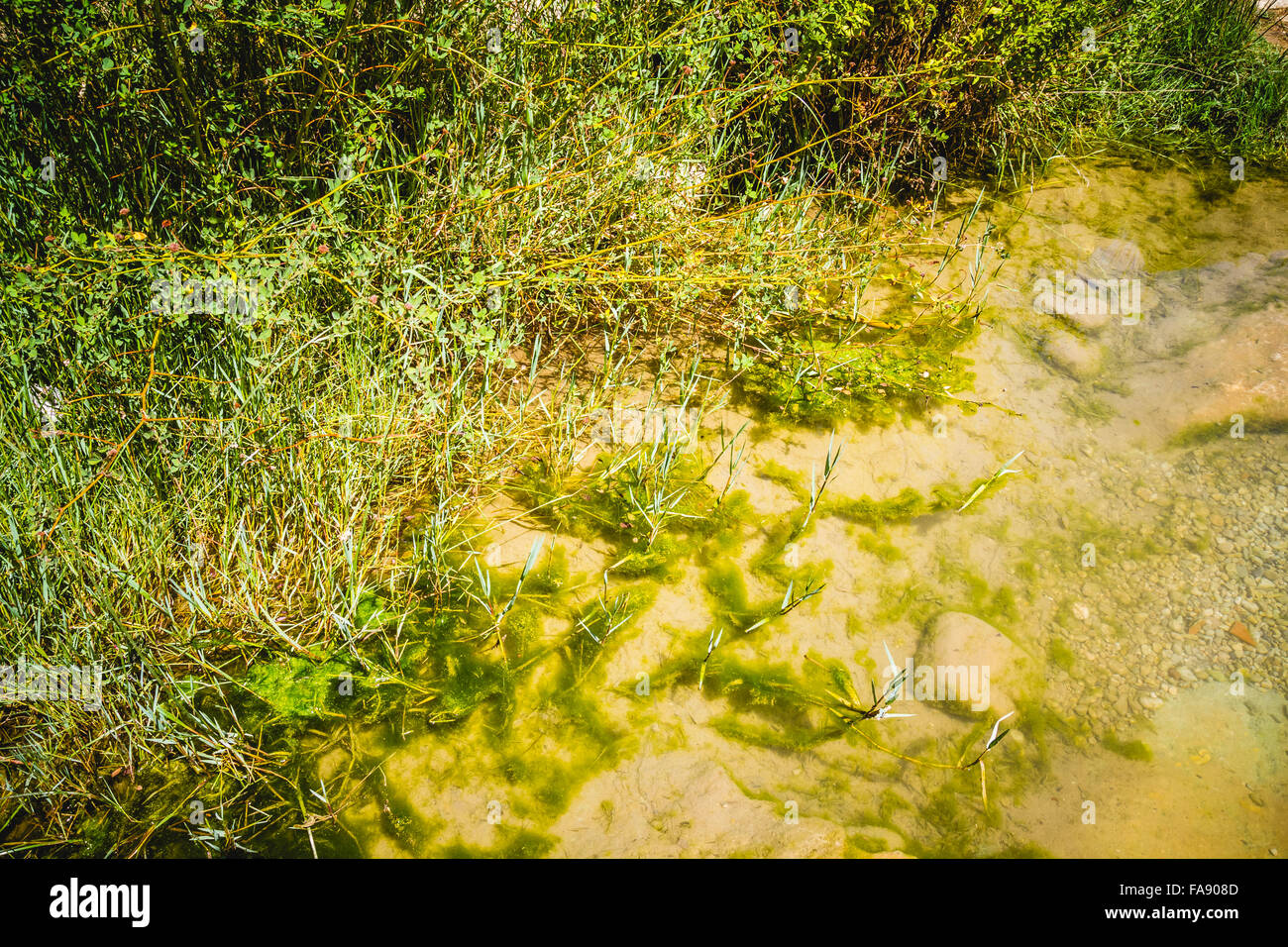 inland lake surrounded by rocks, landscape with forests in Valencia ...