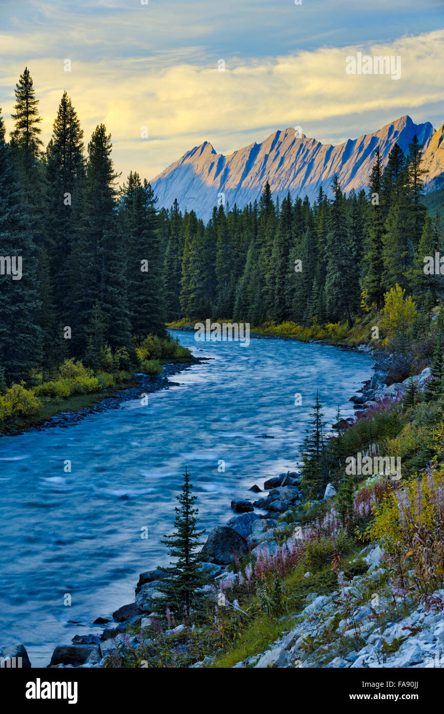 Maligne River, Jasper National Park Stock Photo - Alamy