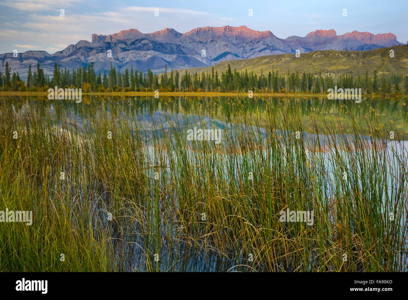 Talbot Lake; Jasper National Park Stock Photo - Alamy