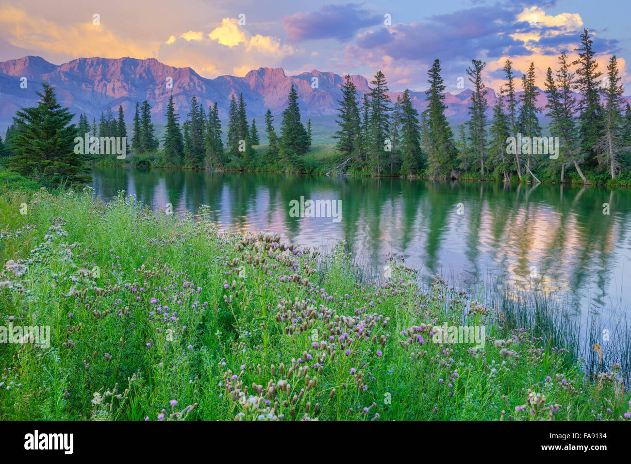 Talbot Lake sunset, Jasper National Park Stock Photo - Alamy