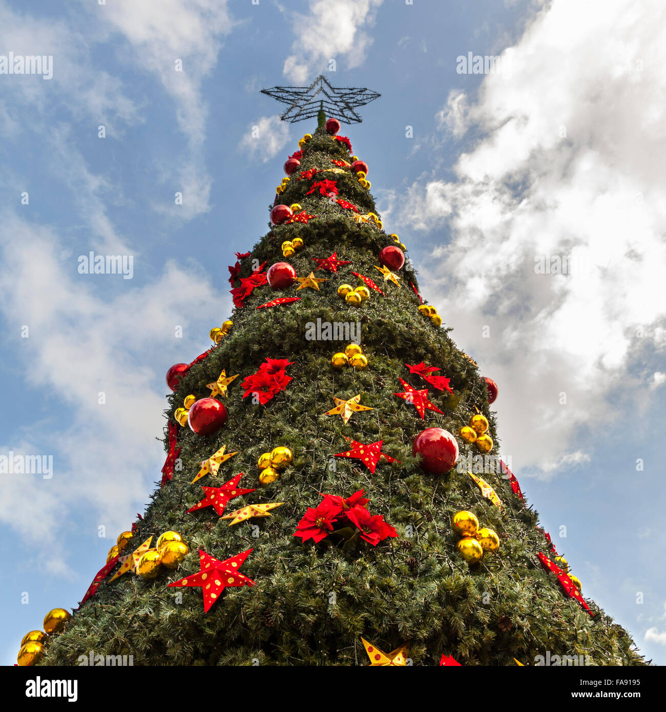 Real christmas tree outdoors hi-res stock photography and images - Alamy