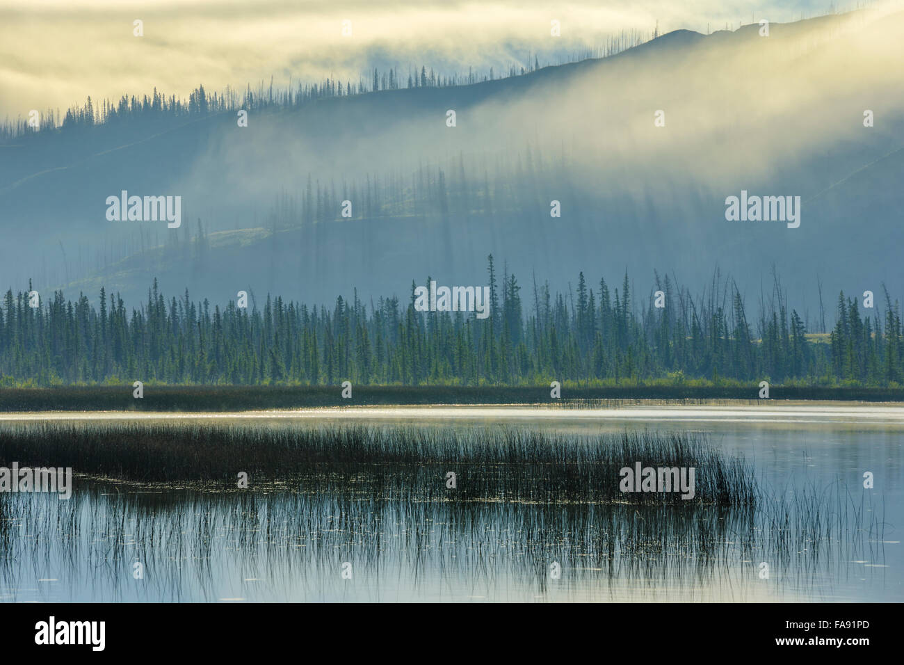 Talbot Lake sunrise, Jasper National Park Stock Photo - Alamy