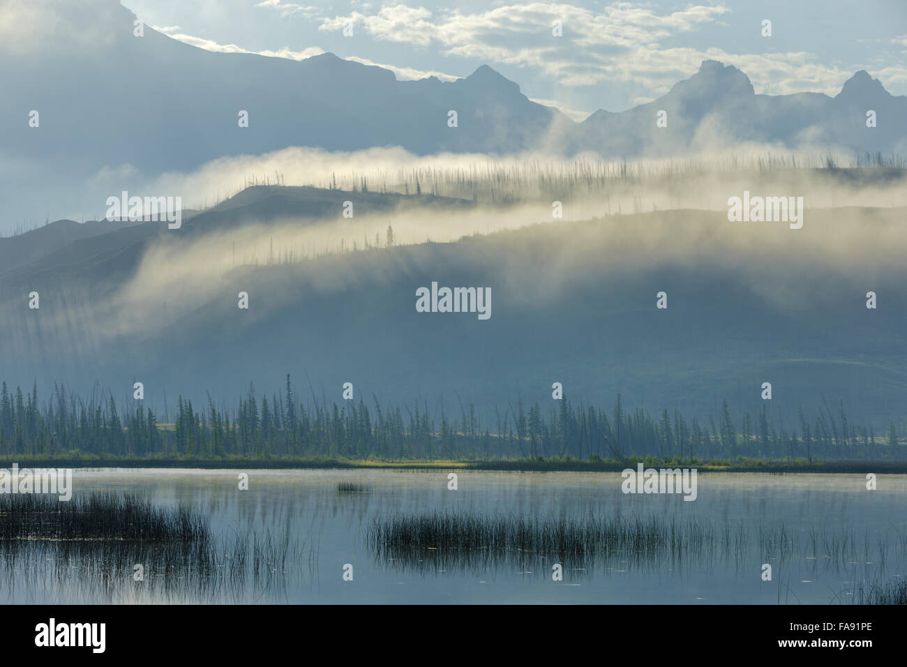 Talbot Lake sunrise, Jasper National Park Stock Photo - Alamy