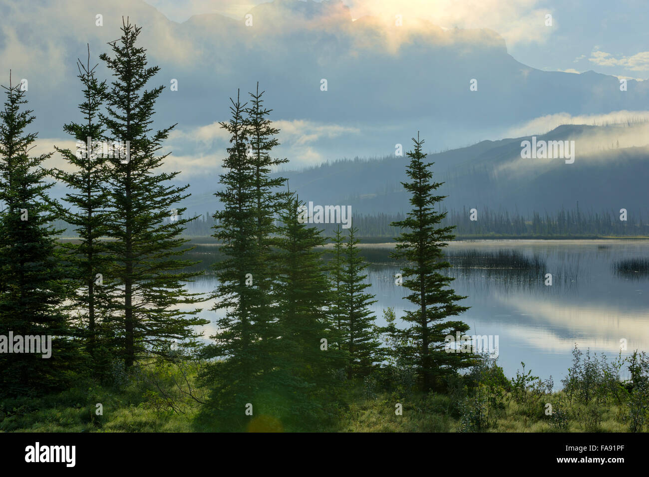 Talbot Lake sunrise, Jasper National Park Stock Photo - Alamy