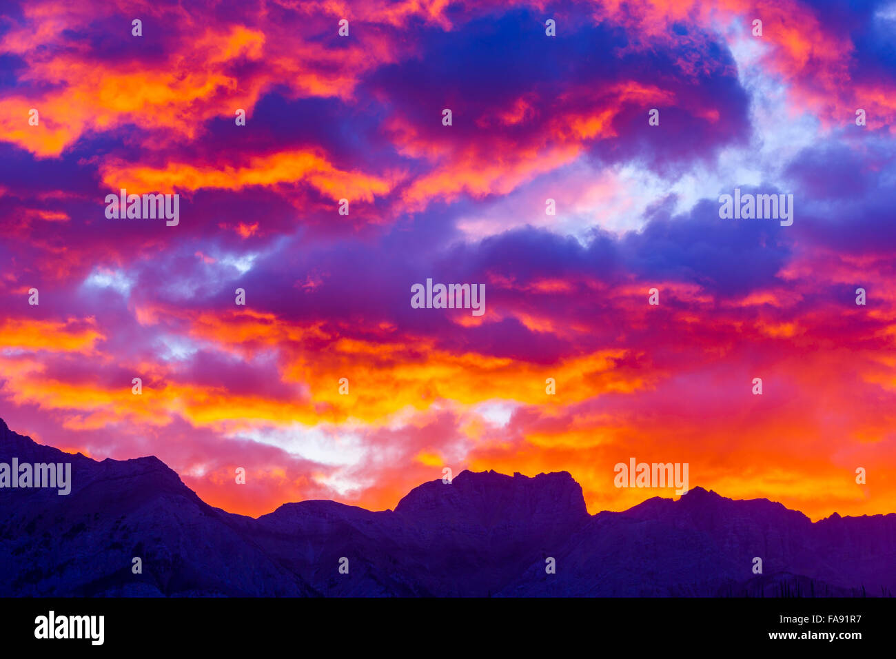 sunrise at Talbot Lake, Jasper National Park Stock Photo - Alamy