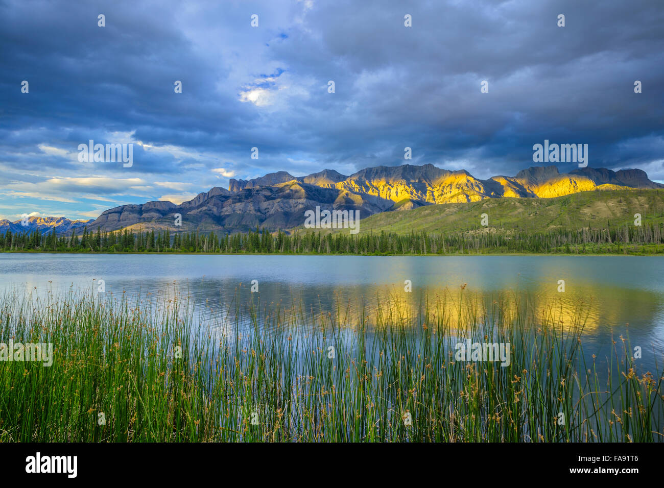 Talbot Lake at sunset, Jasper Natonal Park Stock Photo - Alamy