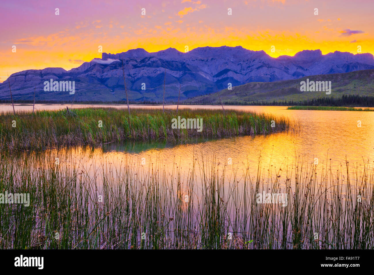 Talbot Lake at sunrise, Jasper Natonal Park Stock Photo - Alamy