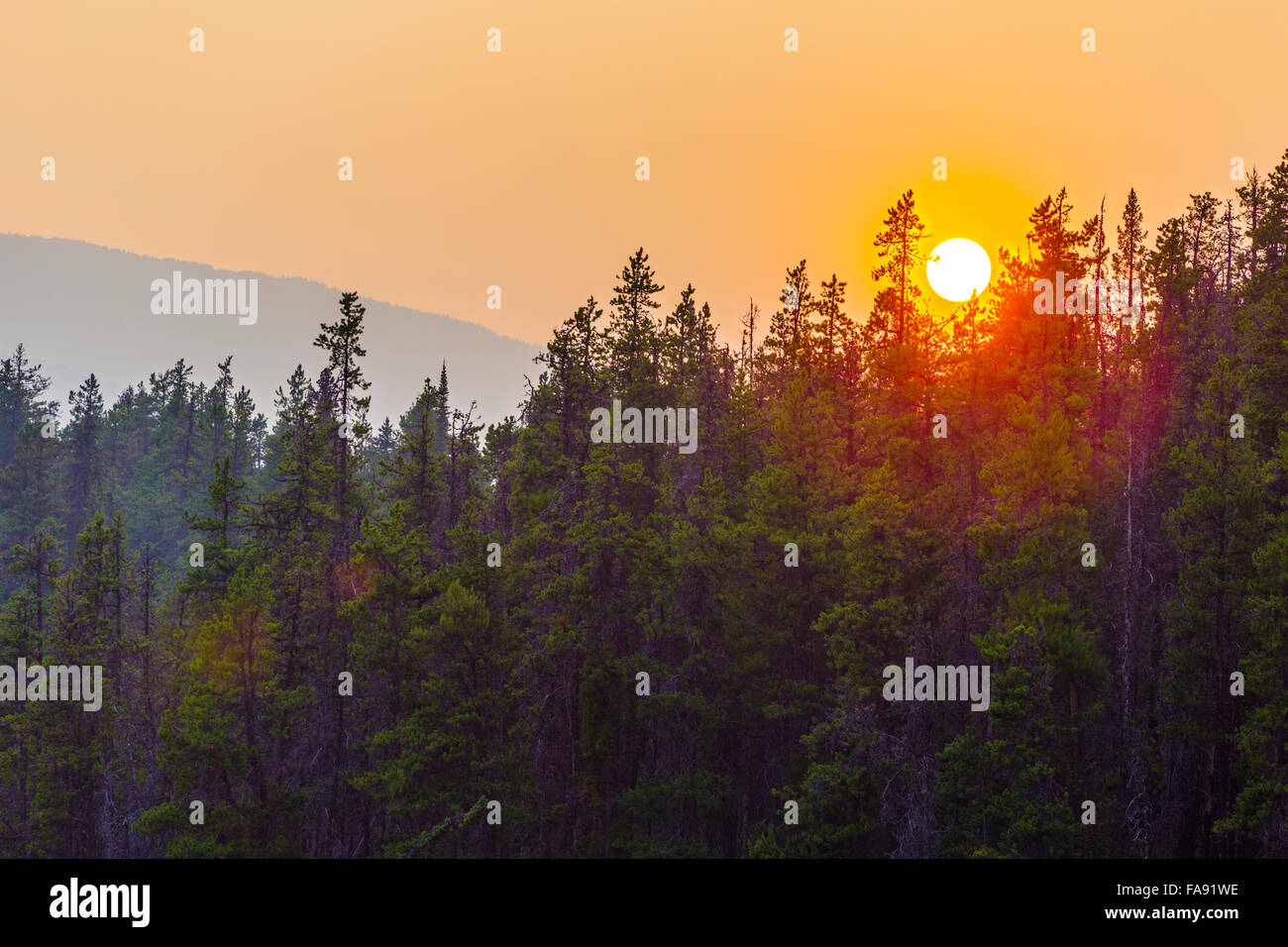 sunset by Leach Lake, Jasper National Park, Canada Stock Photo - Alamy