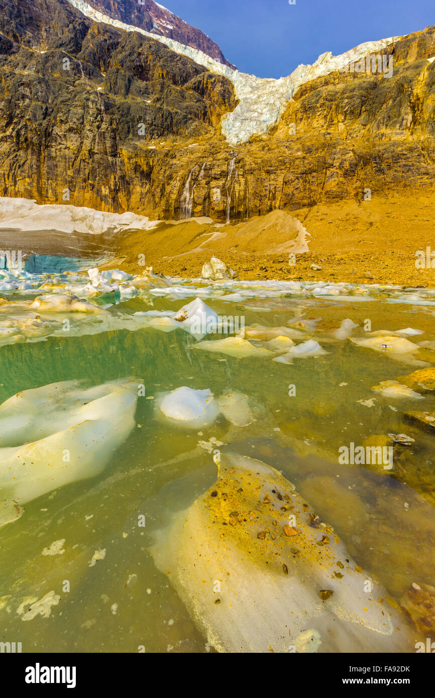 Angel Glacier on Mount Edith Cavell, Jasper National Park, Canada Stock ...