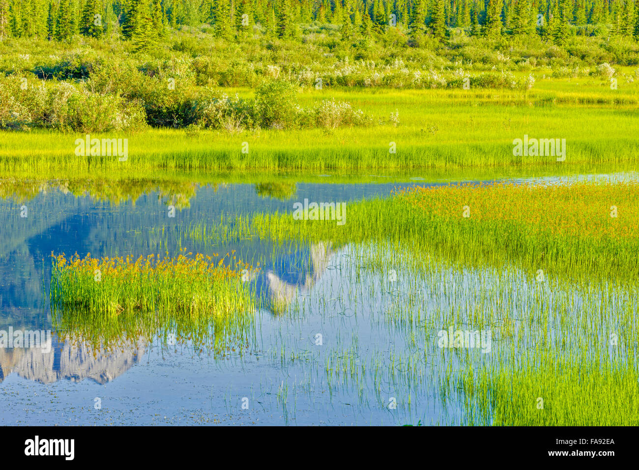 Talbot Lake, Jasper National Park, Canada Stock Photo - Alamy
