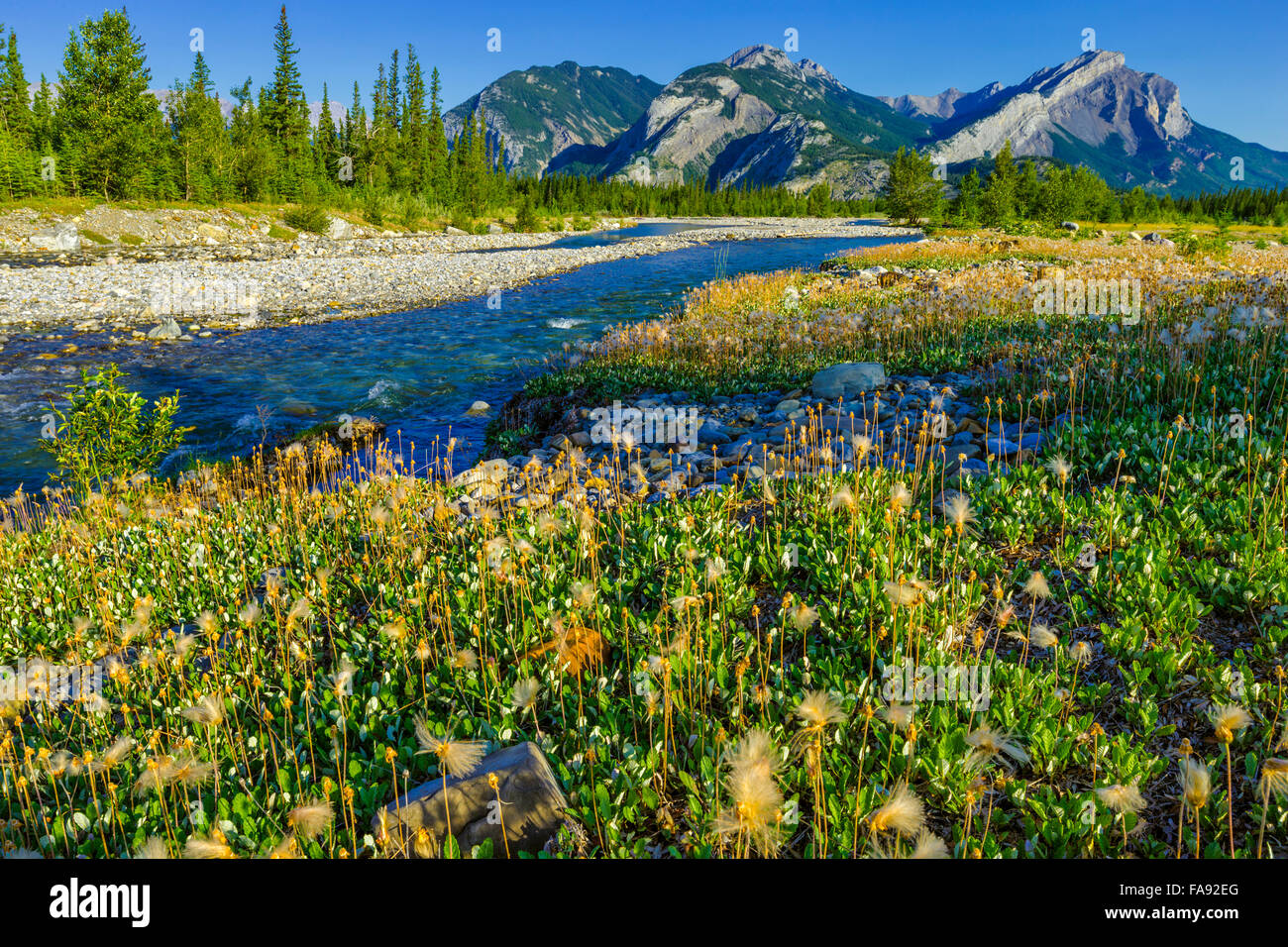 Snake Indian River and Roche ‡ Bosche Mountain, Jasper National Park ...