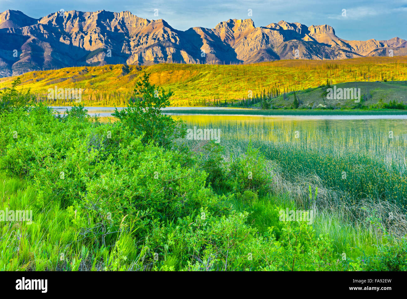 Talbot Lake, Jasper National Park, Canada Stock Photo - Alamy