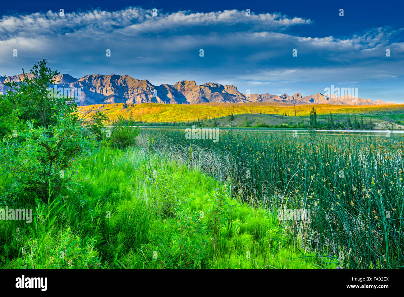 Talbot lake jasper national hi-res stock photography and images - Alamy