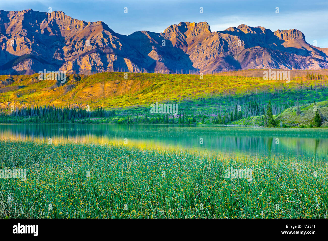 Talbot Lake, Jasper National Park, Canada Stock Photo - Alamy