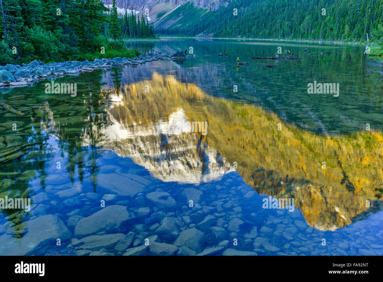 Reflection of Mt. Edith Cavell in Cavell Lake Stock Photo - Alamy