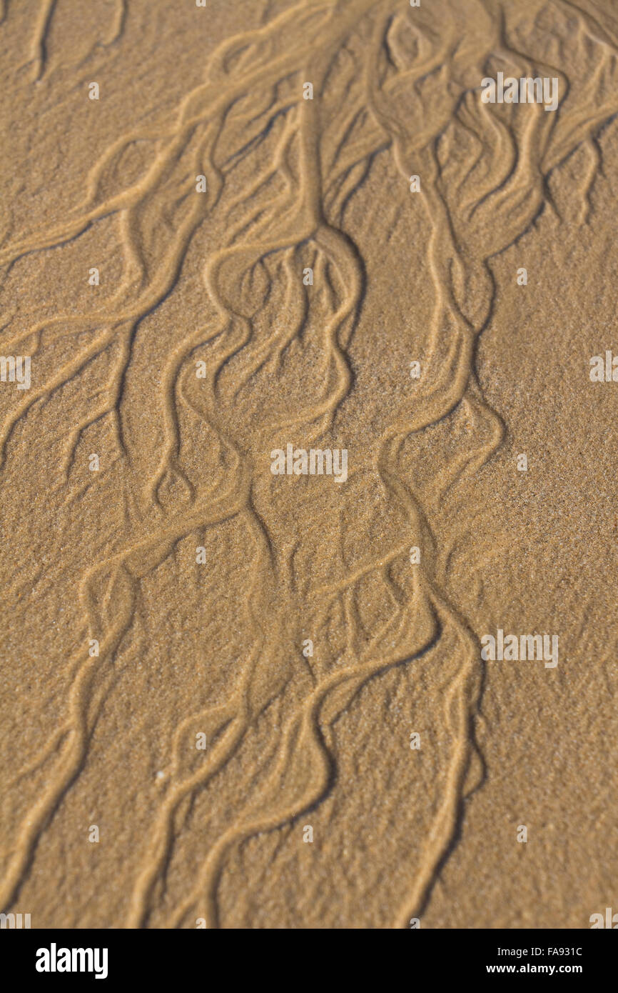 Natural flowing lines hi-res stock photography and images - Alamy