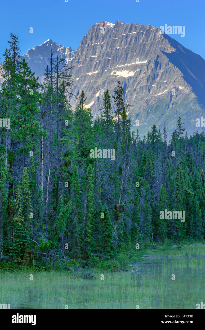 Mt Fryatt Stock Photos & Mt Fryatt Stock Images - Alamy