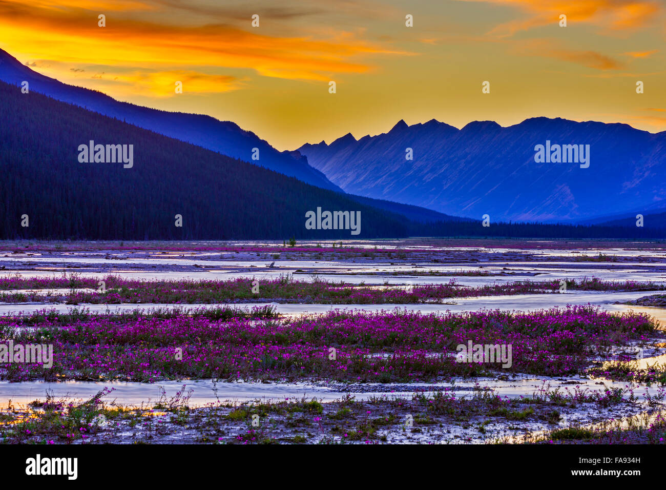 Wilderness area and sunset and purple hi-res stock photography and ...