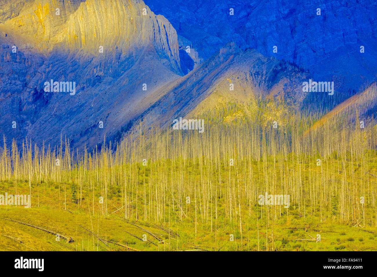 Miette mountain range hi-res stock photography and images - Alamy