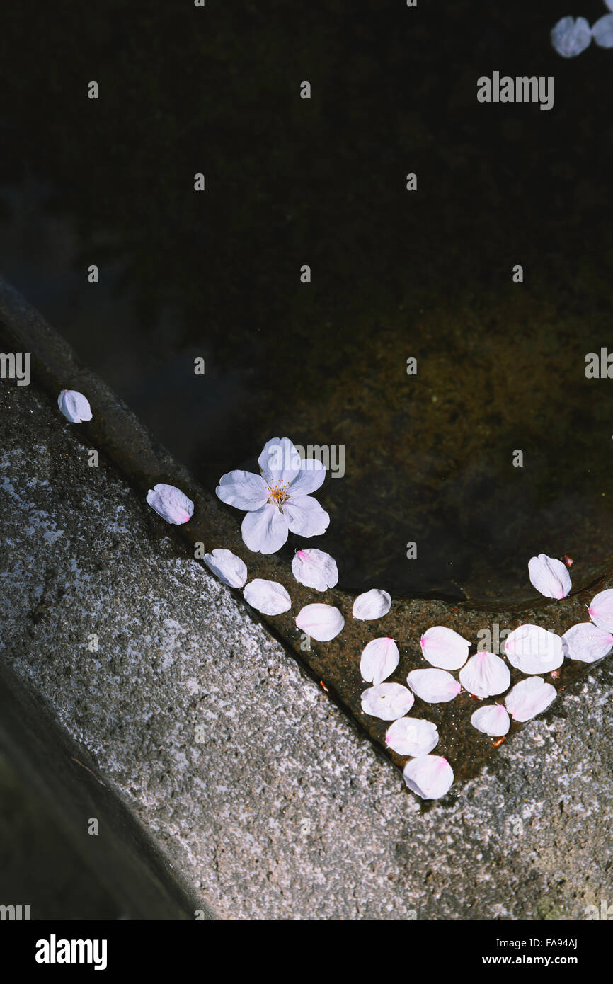 Chozuya temizuya water ablution hi-res stock photography and images - Alamy