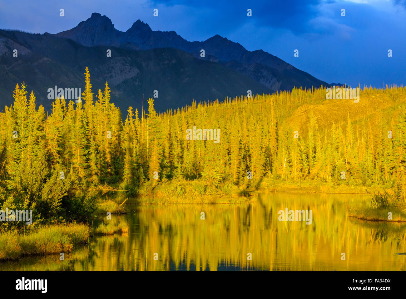 Miette mountain range hi-res stock photography and images - Alamy