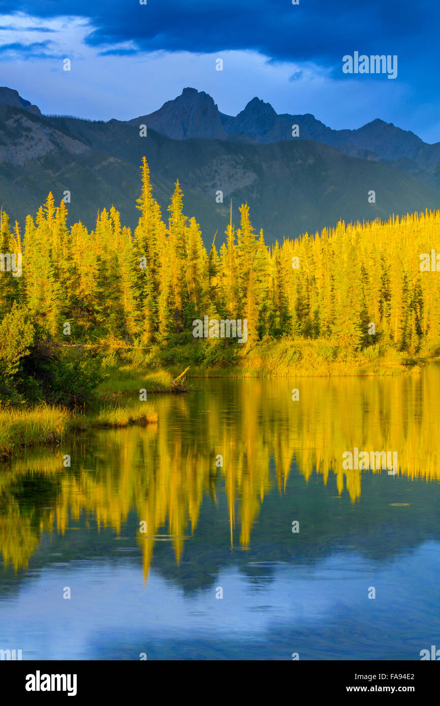 Miette range jasper national park hi-res stock photography and images ...