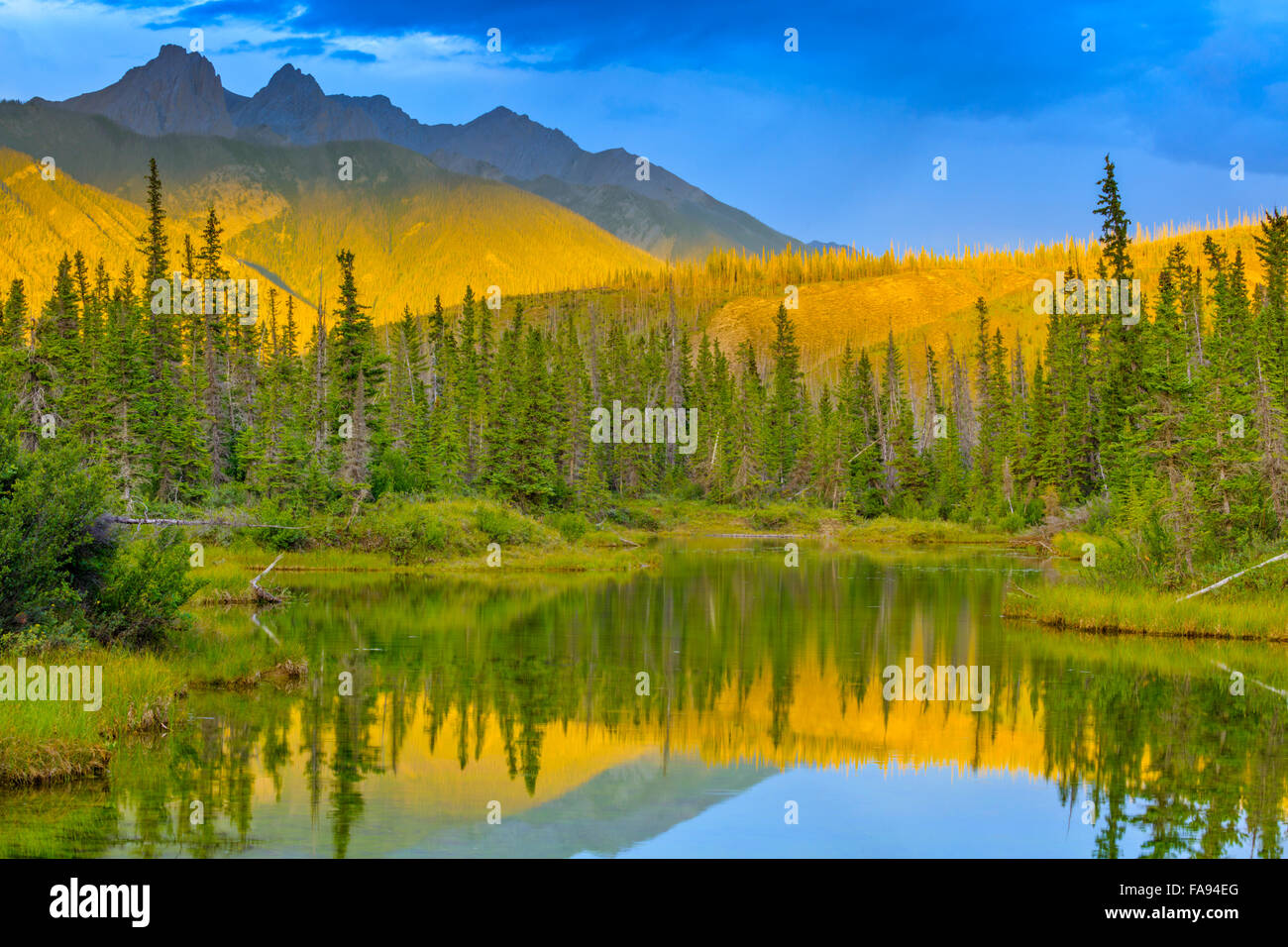 Miette mountain range hi-res stock photography and images - Alamy