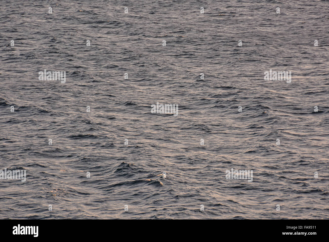 Detailed Texture Of Sea Water Stock Photo - Alamy