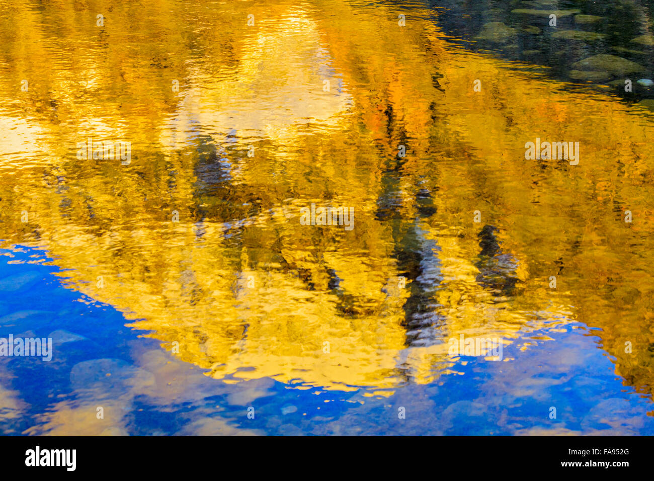 Reflection of Mount Edith Cavell in Cavell lake in Jasper National Park ...