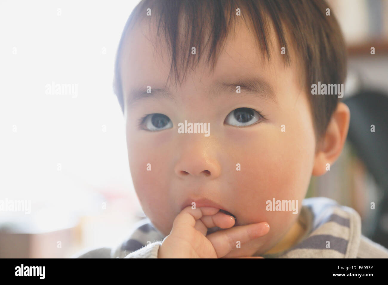 Young Japanese kid portrait Stock Photo - Alamy