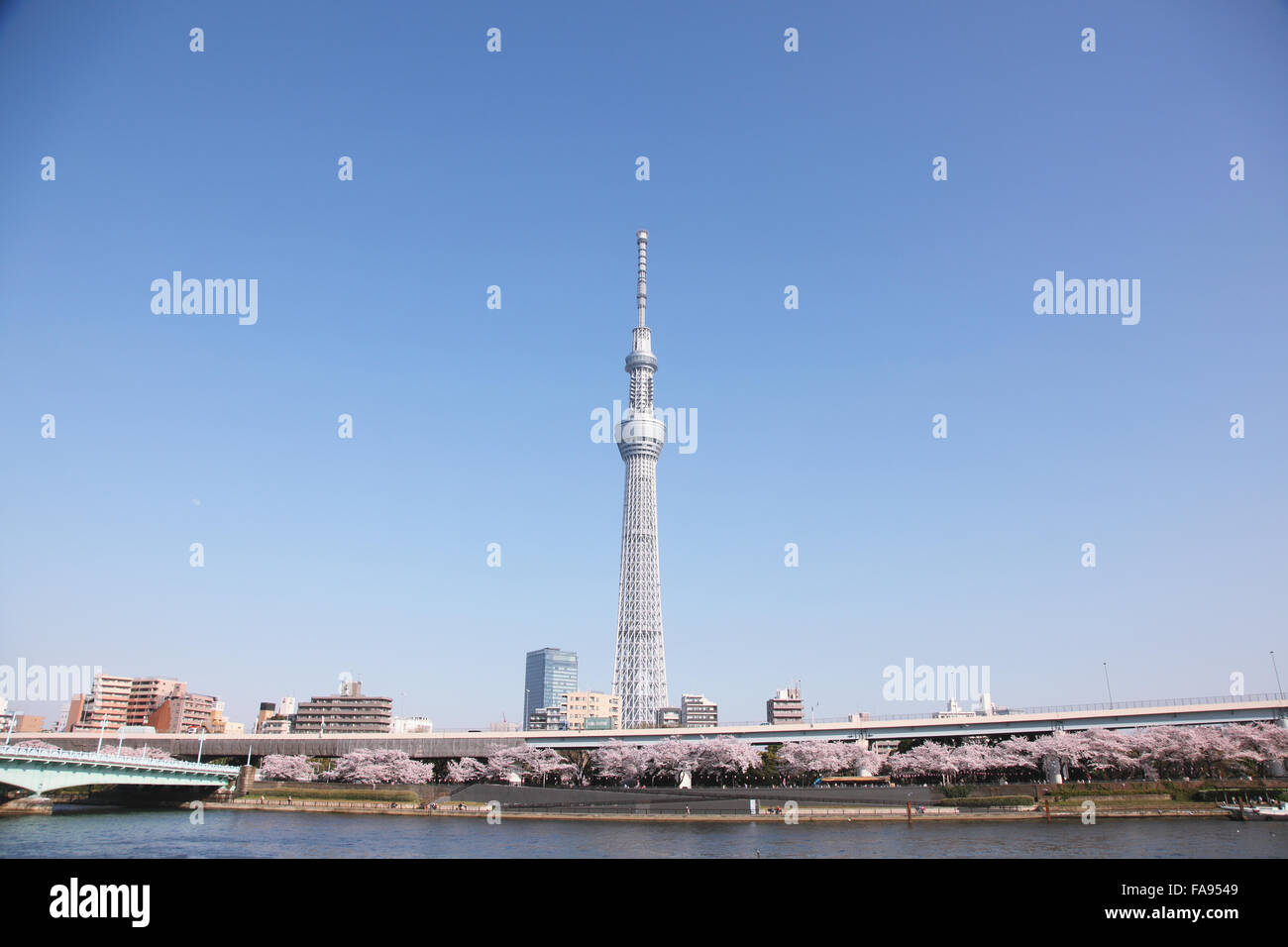 View of Skytree Tower, Tokyo, Japan Stock Photo - Alamy
