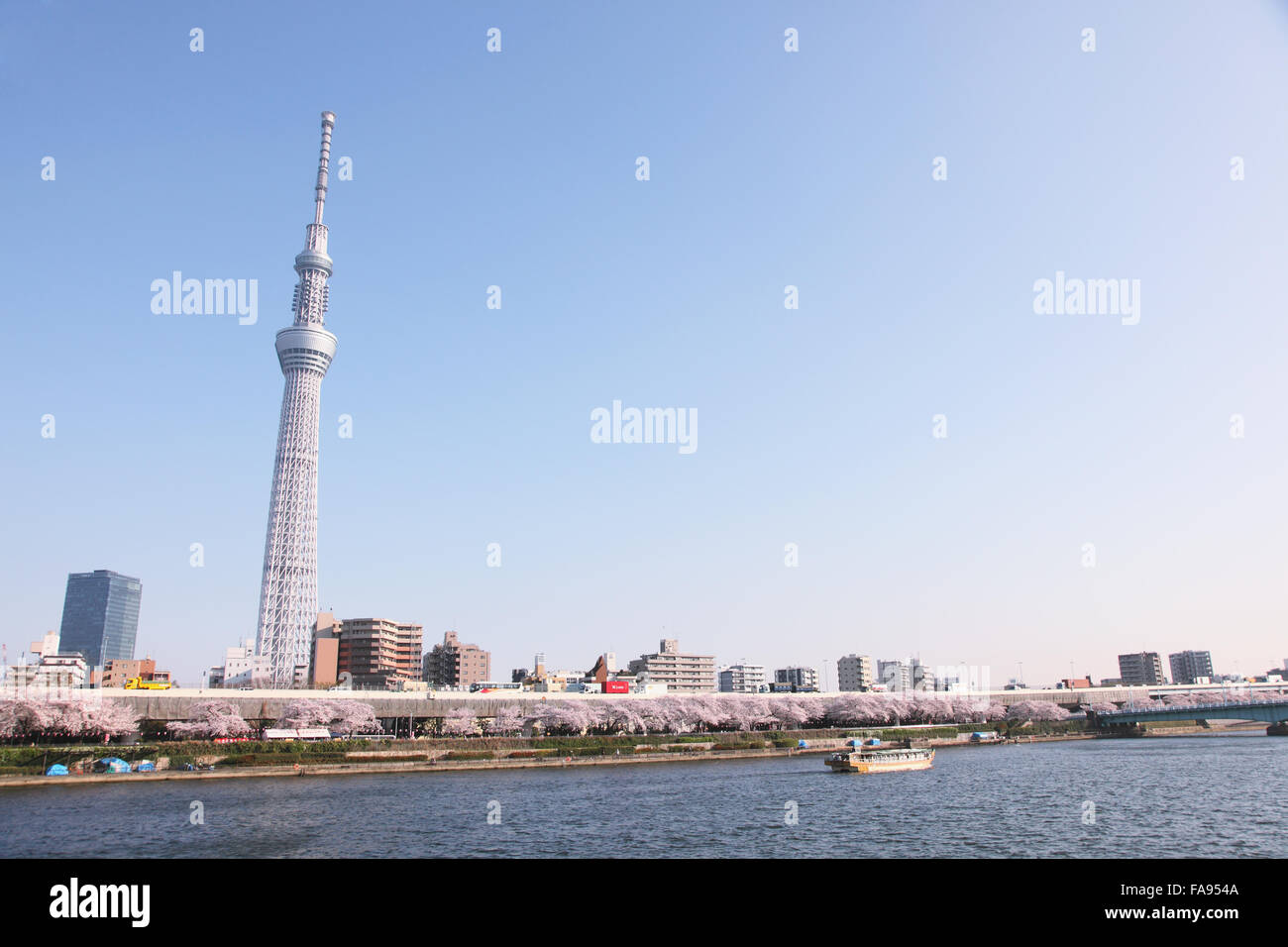 View of Skytree Tower, Tokyo, Japan Stock Photo - Alamy