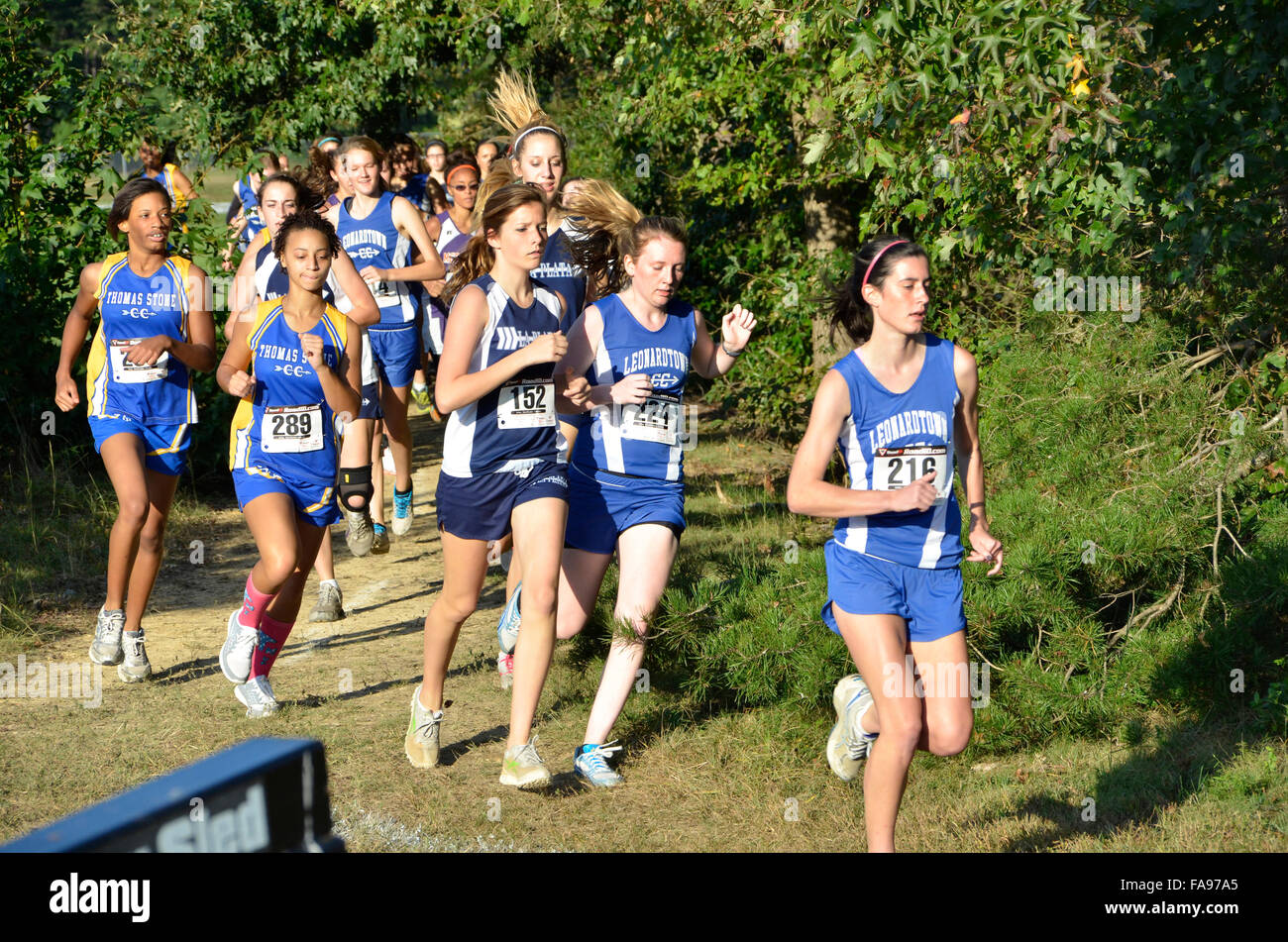 Cross country running high school hi-res stock photography and images ...