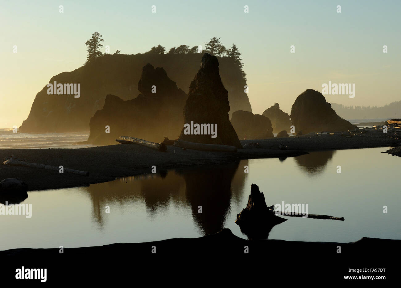 Olympic national park hi-res stock photography and images - Alamy