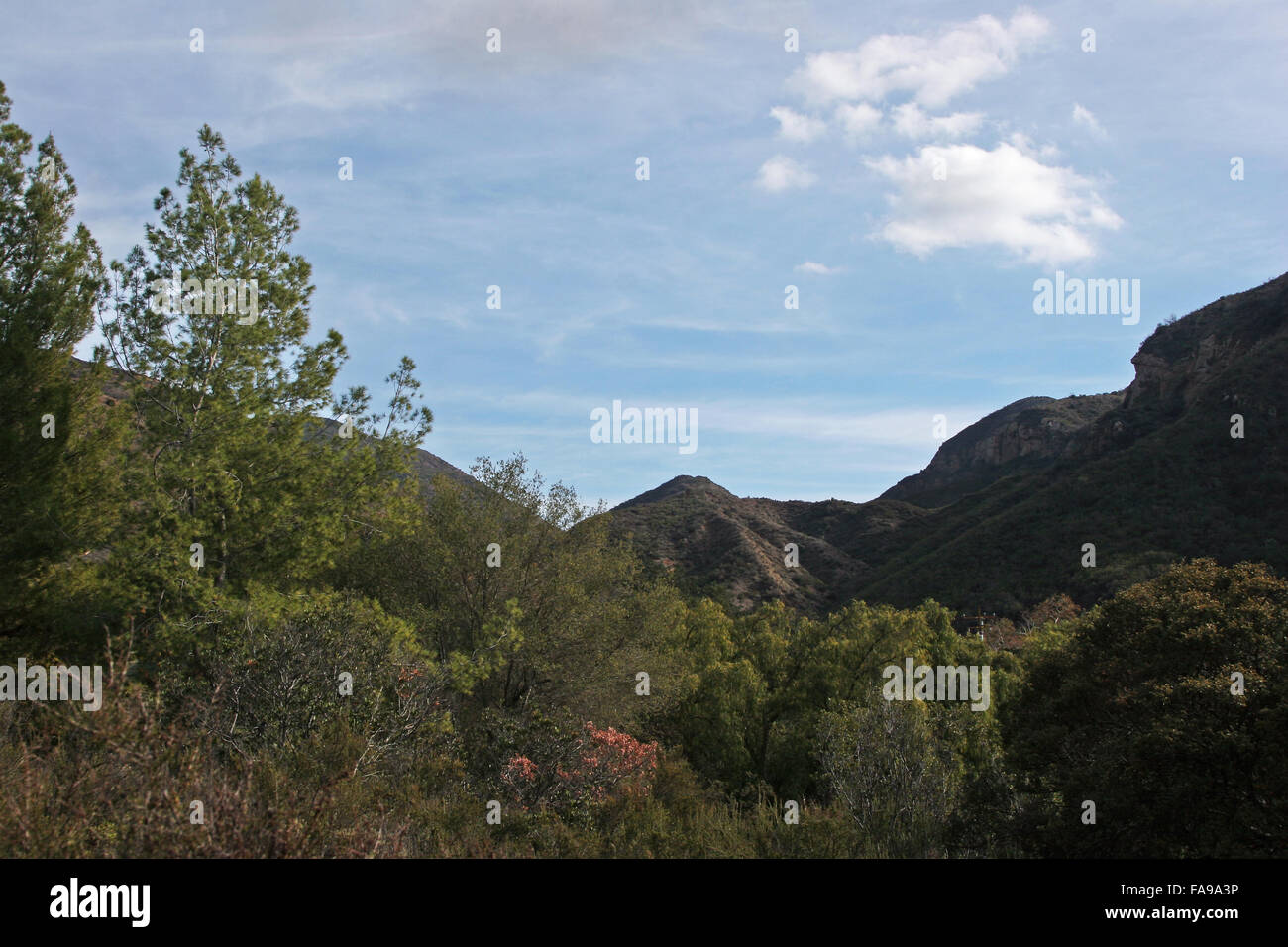 hillside Modjeska Canyon California Stock Photo - Alamy