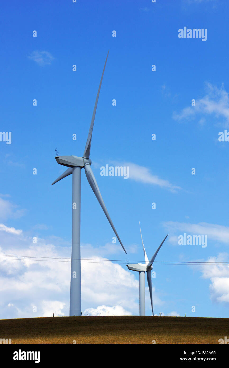 Wind turbine generator and alternative energy, eco wind farm technology ...