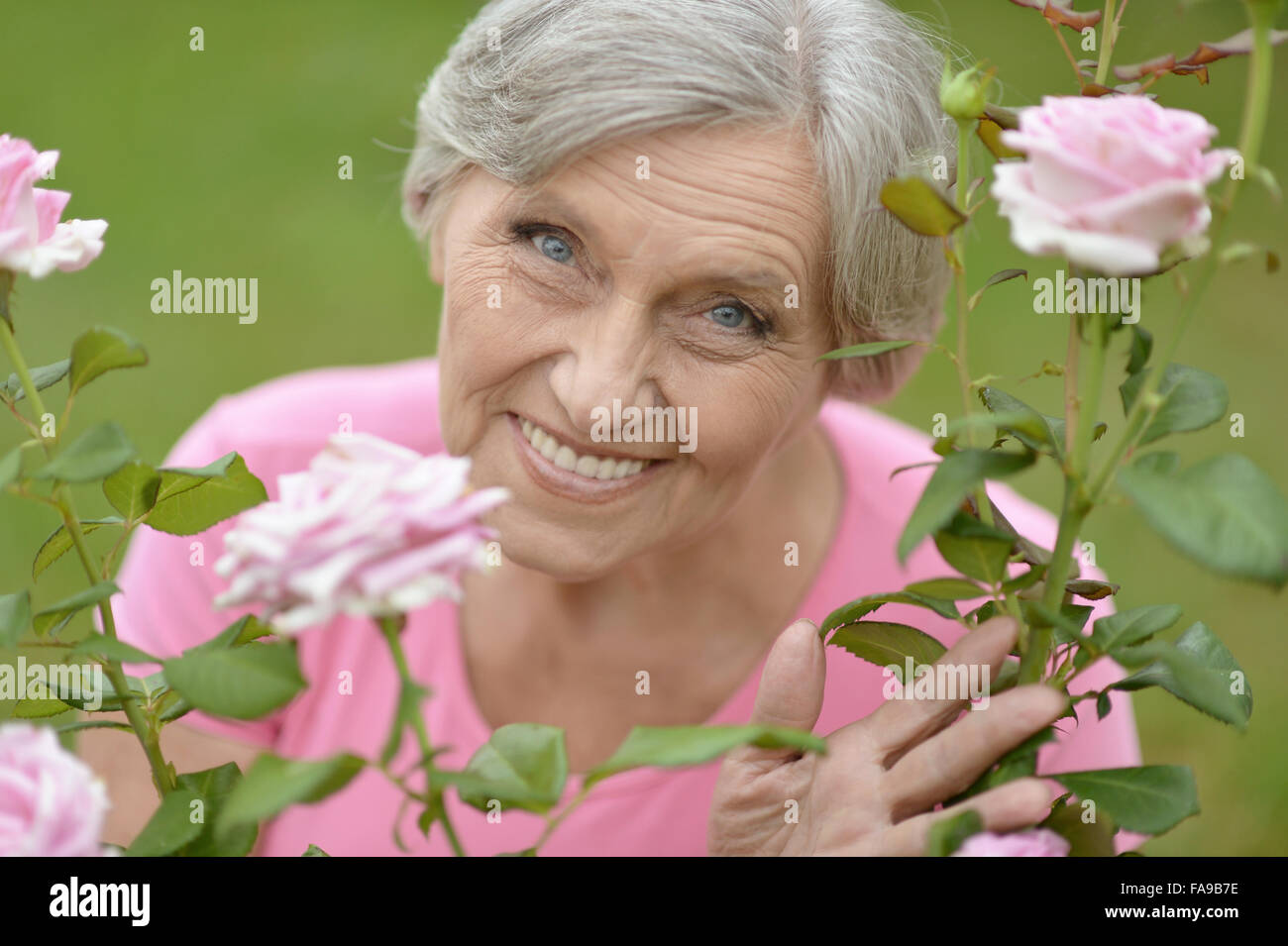 Woman with pink roses Stock Photo - Alamy