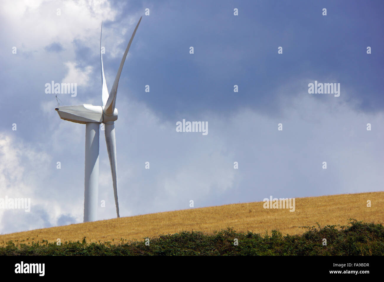 Wind turbine generator and alternative energy, eco wind farm technology ...