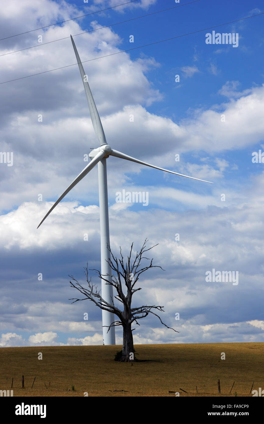 Wind turbine generator and alternative energy, eco wind farm technology ...