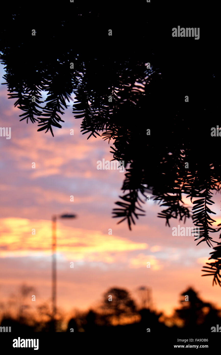 An early morning sunrise in North Yorkshire, England, UK Stock Photo ...