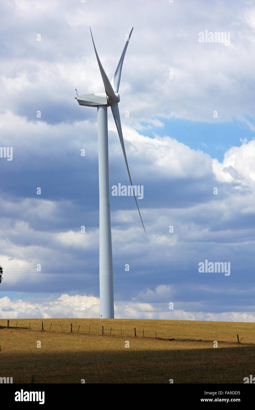 Wind turbine generator and alternative energy, eco wind farm technology ...